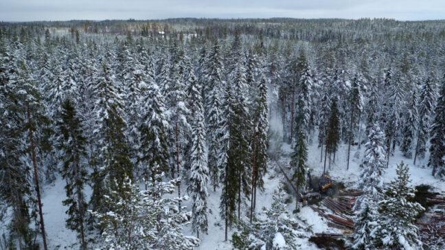 Forestry in Finland | Metsähallitus