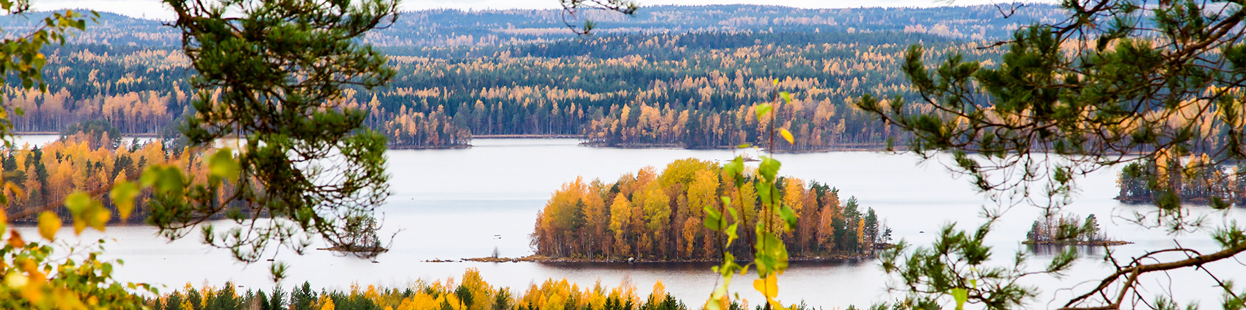 Statens mark- och vattenområden | Forststyrelsen