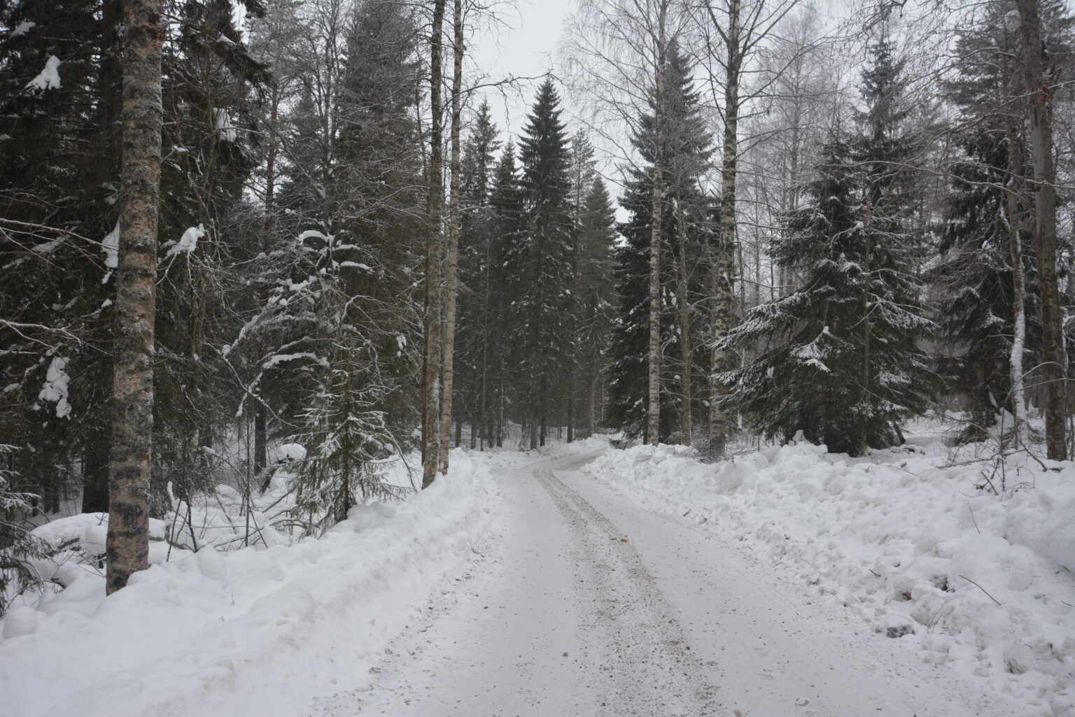 Metsähallituksen talvitiet mahdollistavat talviaikaisen puunkorjuun ...